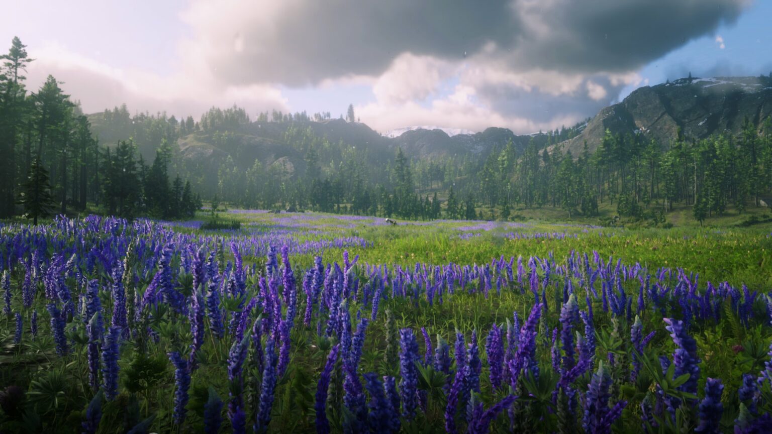 Snap Highlight: Nature in Red Dead Redemption 2 – GTANet.com