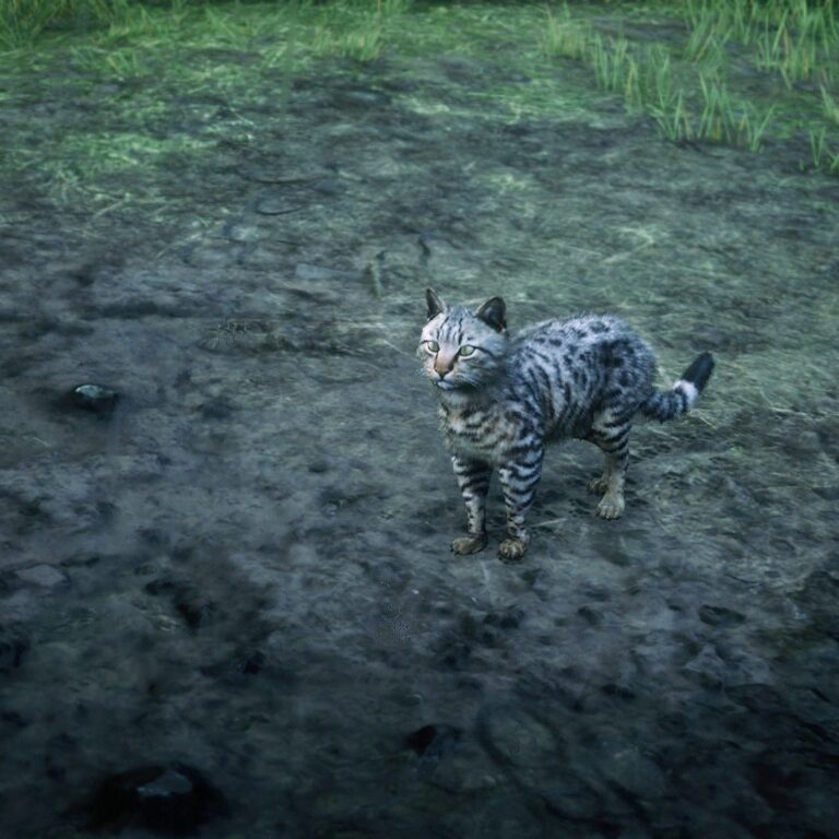 Snap Saturday: The Cats of Red Dead Redemption 2 – GTANet.com