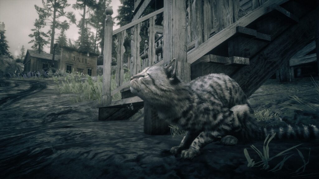 Snap Saturday: The Cats of Red Dead Redemption 2 – GTANet.com