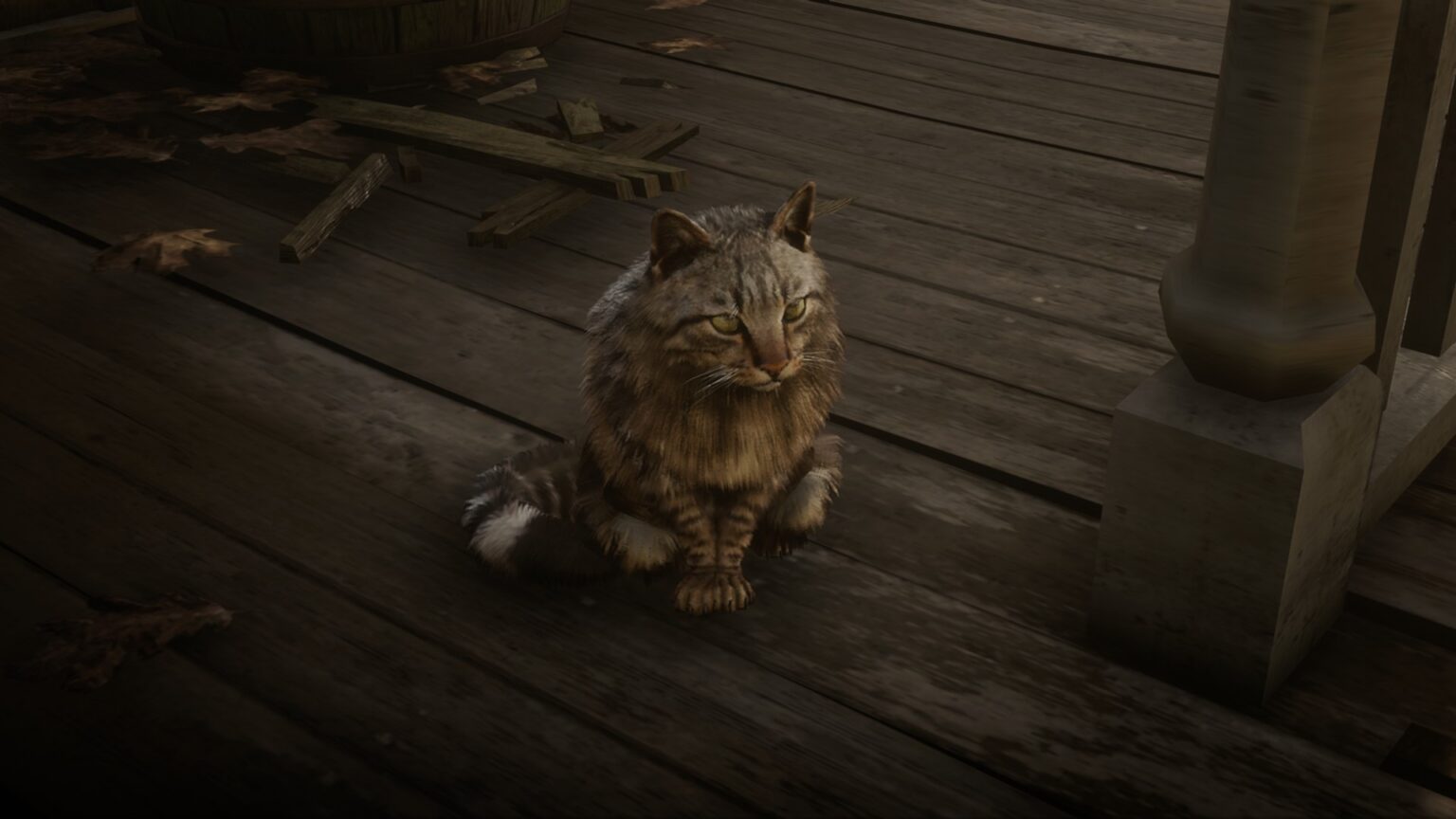 Snap Saturday: The Cats of Red Dead Redemption 2 – GTANet.com