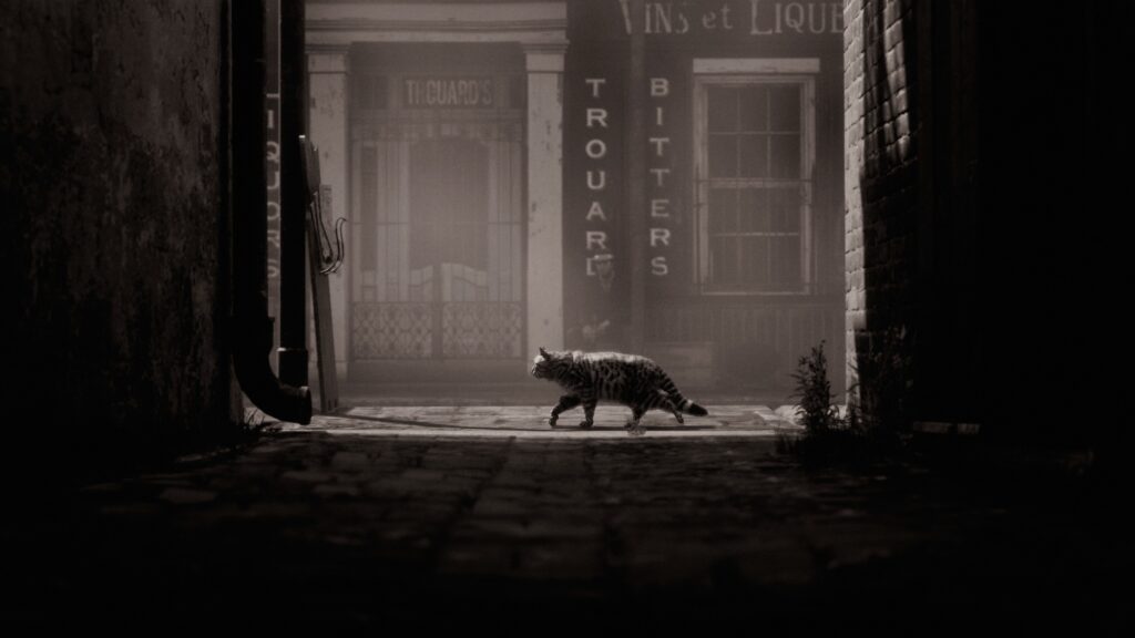 Snap Saturday: The Cats of Red Dead Redemption 2 – GTANet.com