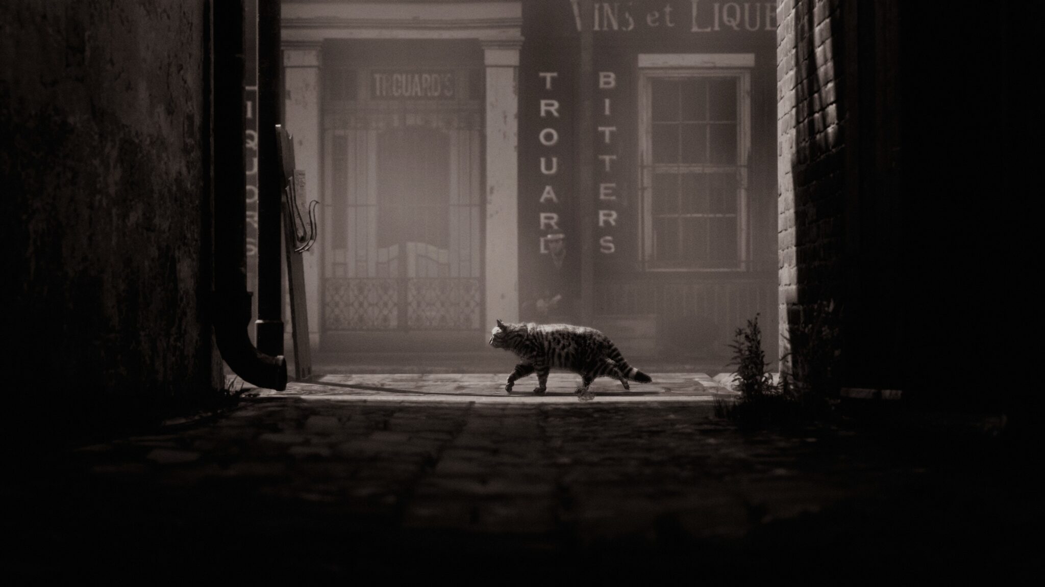 Snap Saturday: The Cats of Red Dead Redemption 2 – GTANet.com