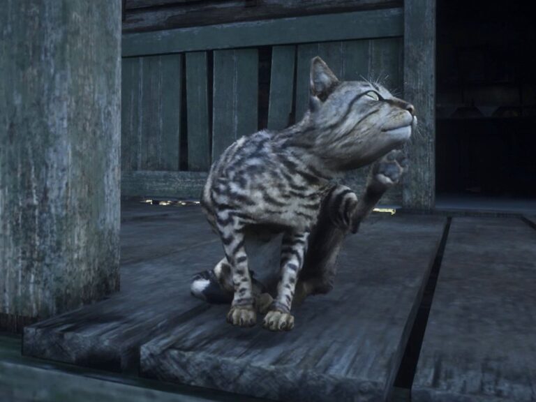 Snap Saturday: The Cats of Red Dead Redemption 2 – GTANet.com