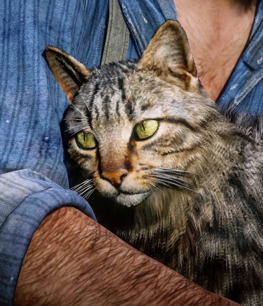 Snap Saturday: The Cats of Red Dead Redemption 2 – GTANet.com