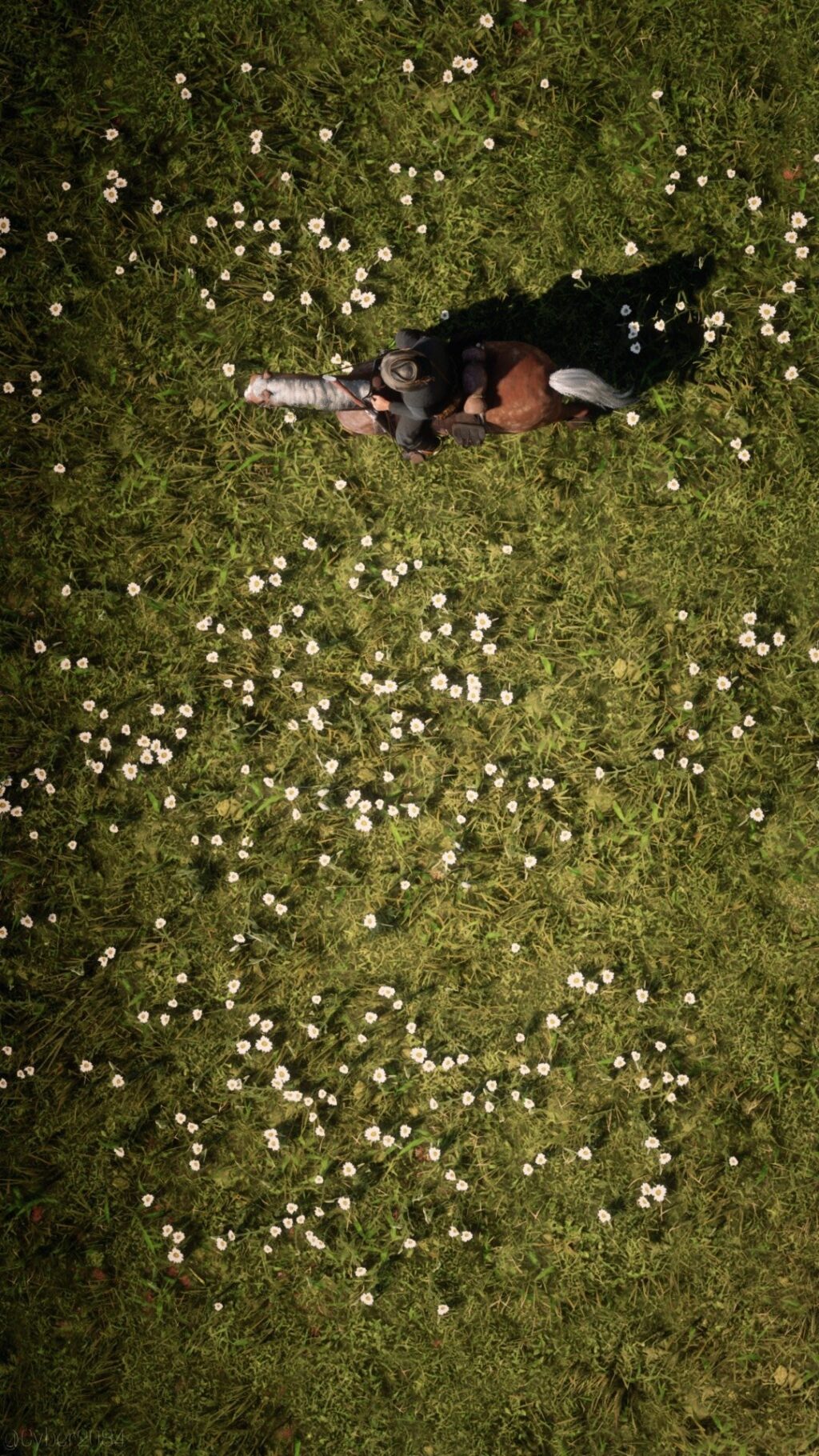 Snap Saturday: A Focal Point – GTANet.com